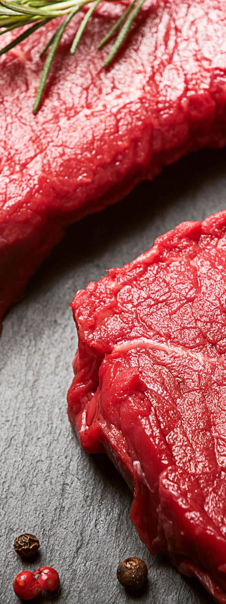 Fouras - Carte Restaurant | Casino JOA de Fouras | JOA